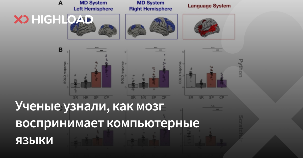 Ученые узнали, как мозг воспринимает компьютерные языки