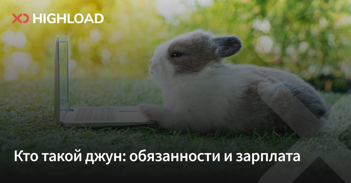 Кто такой Джун (Junior)? Какие его обязанности и зарплата?